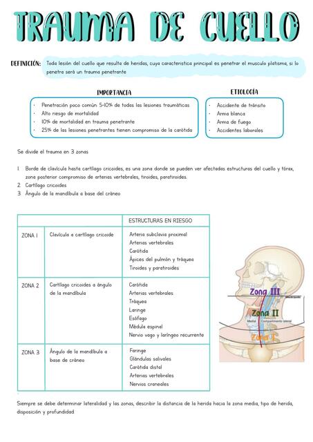 Trauma de cuello | Catalina Araujo | uDocz