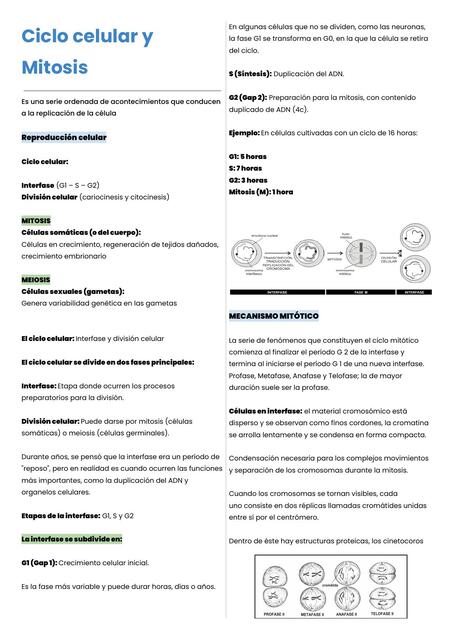 Flashcards de Ciclo celular y Mitosis | Por larissa | uDocz
