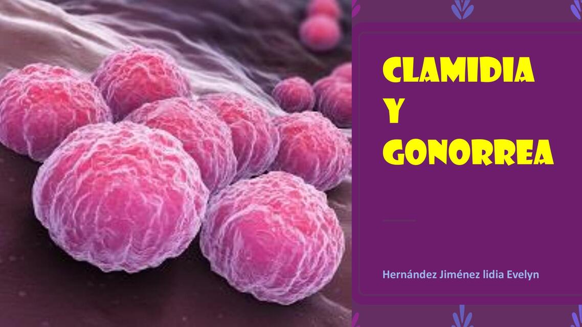 Clamidia y gonorrea preve | Rodiz | uDocz