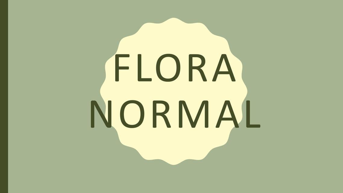 12 FLORA NORMAL | Rodiz | uDocz