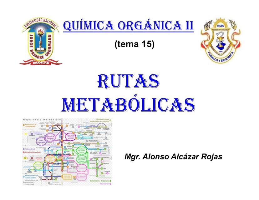 quimica organica II 15 rutas metabolicas | Diego Choque | uDocz