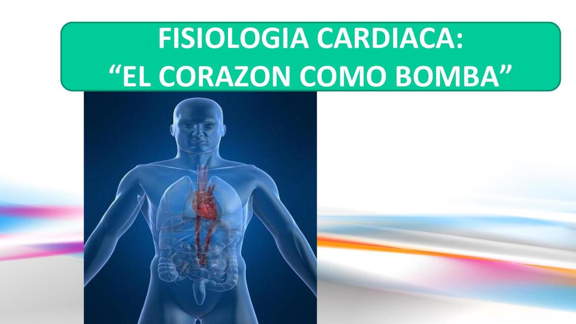 TEMA 6 CARDIO 2 BOMBA 1 | Diego Choque | uDocz