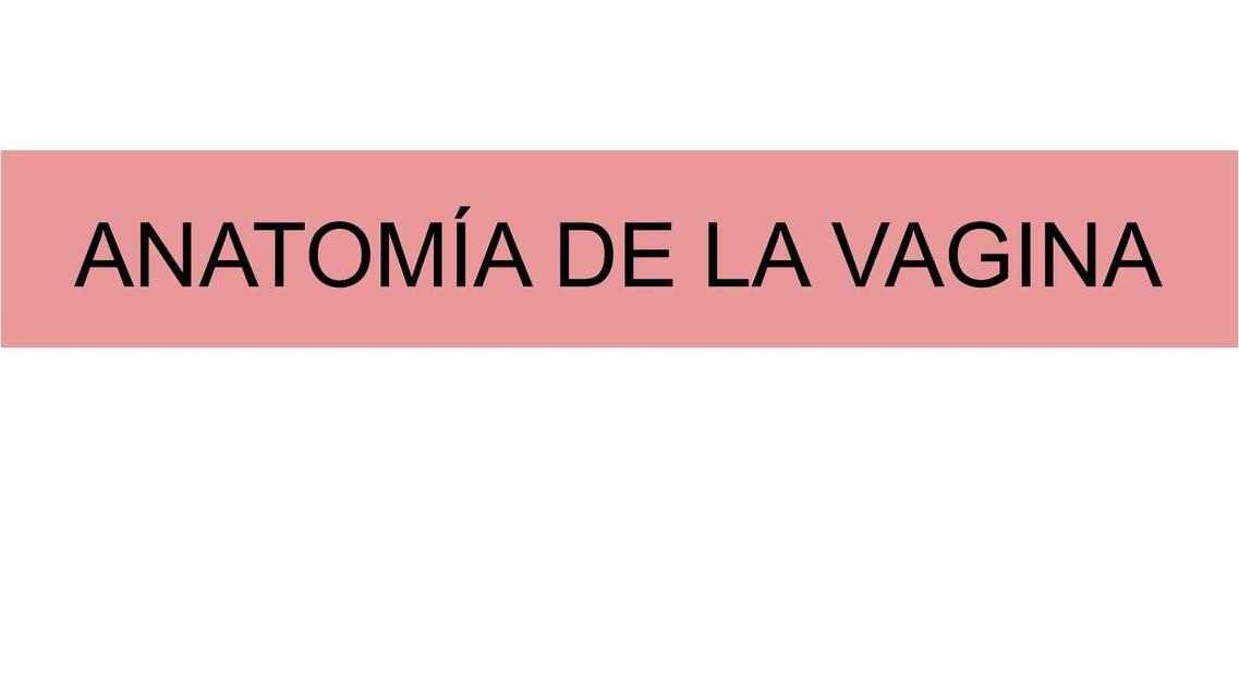 ANATOMÍA DE LA VAGINA | brenda garcia mostacero | uDocz