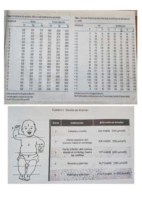 TABLAS | brenda garcia mostacero | uDocz