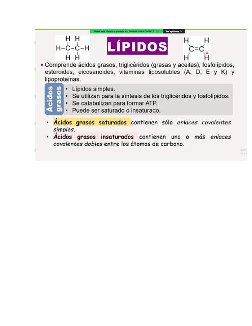 Doc3 | Asunta yorgerly | uDocz
