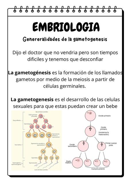 guía completa | DAYRA SOFIA | uDocz