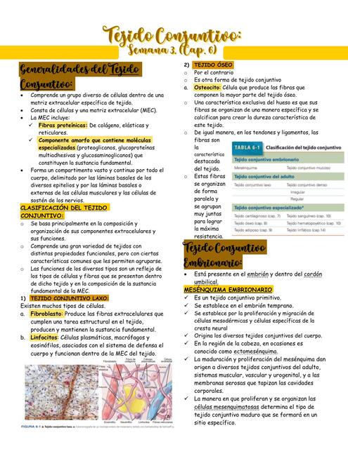 S histo resumen CAP 6 Tejido conjuntivo | Rosa | uDocz