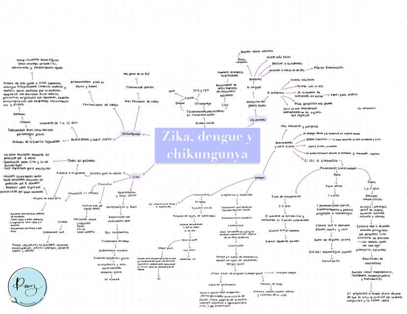 ZIKA DENGUE CHINKUNGUNYA PAUZTUDY99 | Paulina_mednotes | uDocz