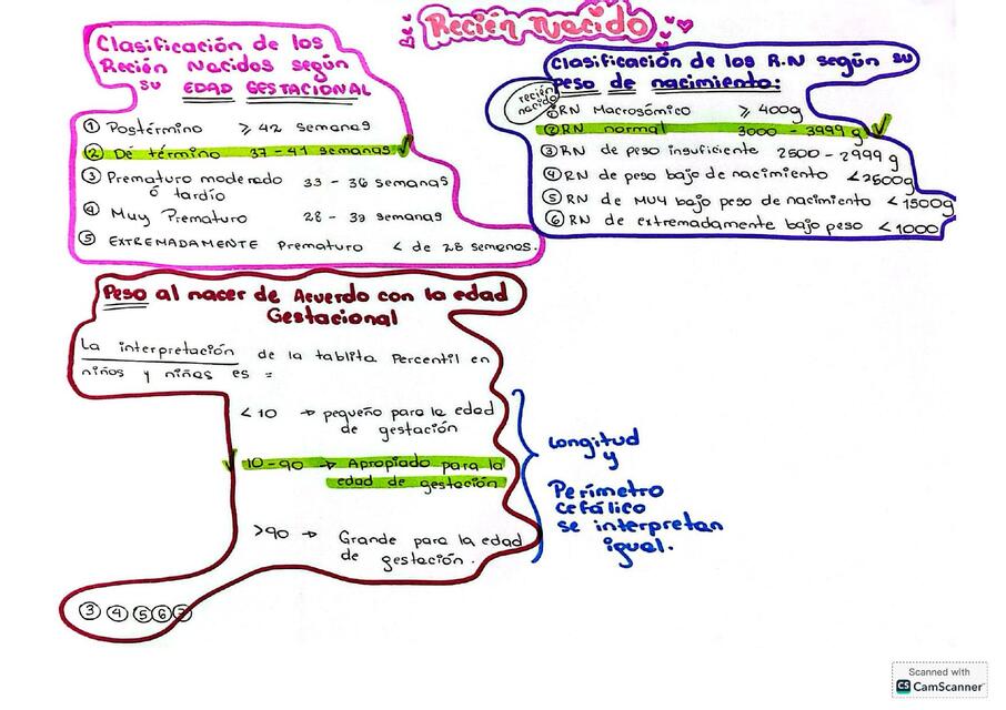 Interpretaciones Primer Parcial - Audrey Flores | Audrey Flores M. | uDocz