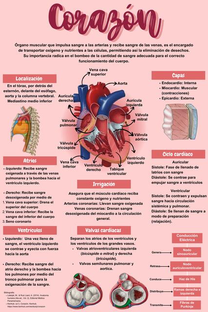 Corazón | Nessa | uDocz