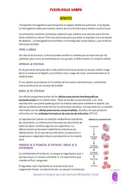 FISIOLOGIA - METABOLISMO HIERRO, FOSFOCALCICO, HEMATOPOYESIS - NUT UABP8 GUYTON | Constanza | uDocz