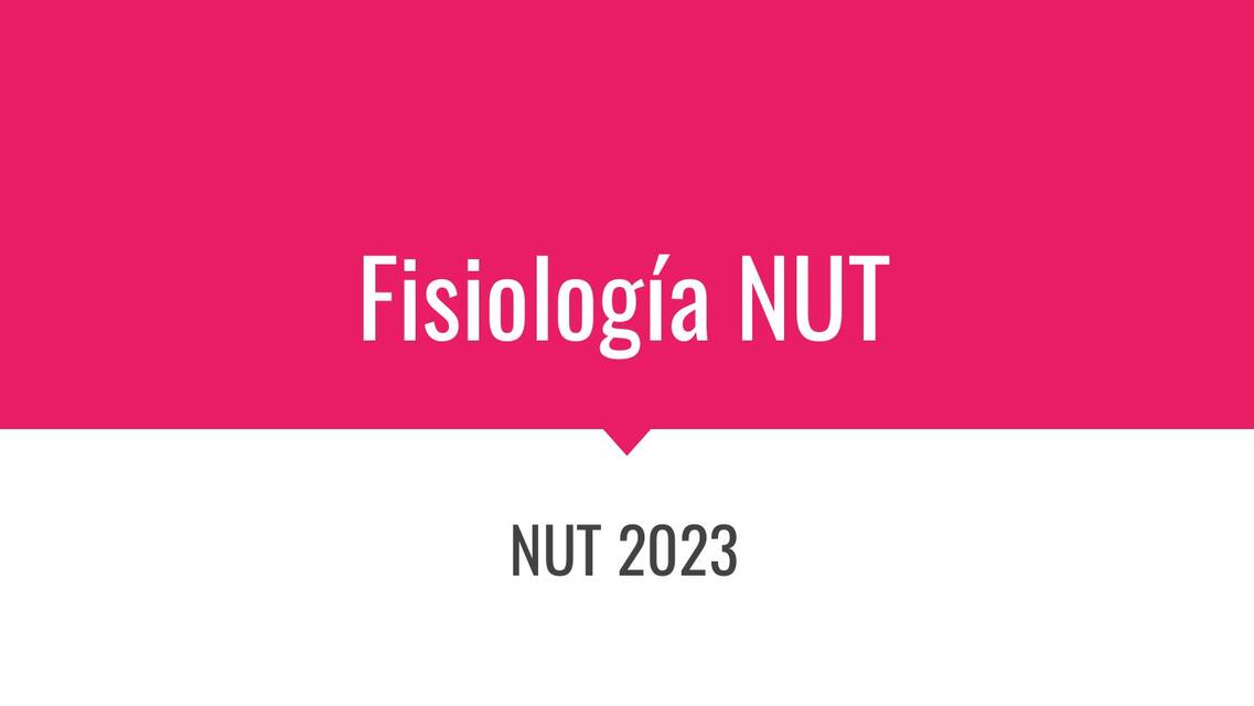 Fisiología NUT Regulación de la glucemia | Constanza | uDocz