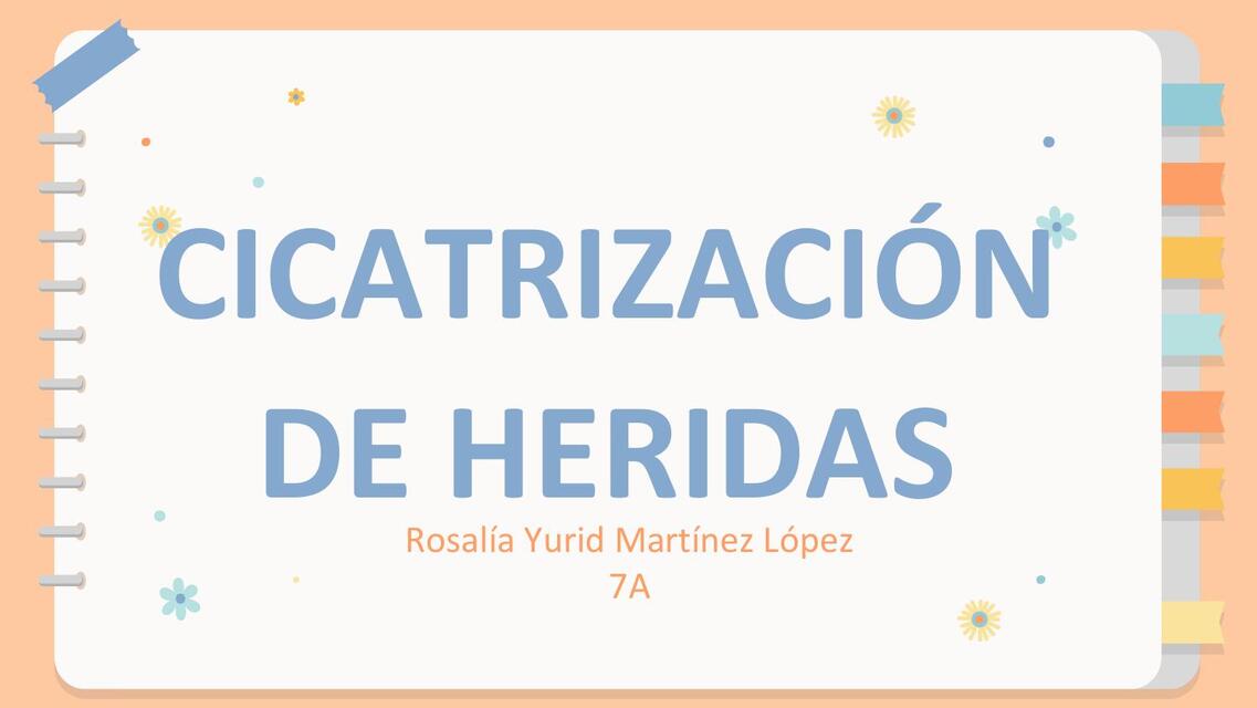 7 Cicatrizacion de heridas | Rodiz | uDocz
