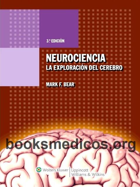 Bear Mark F Neurociencia La Exploracion Del Cerebr | Jimena | uDocz