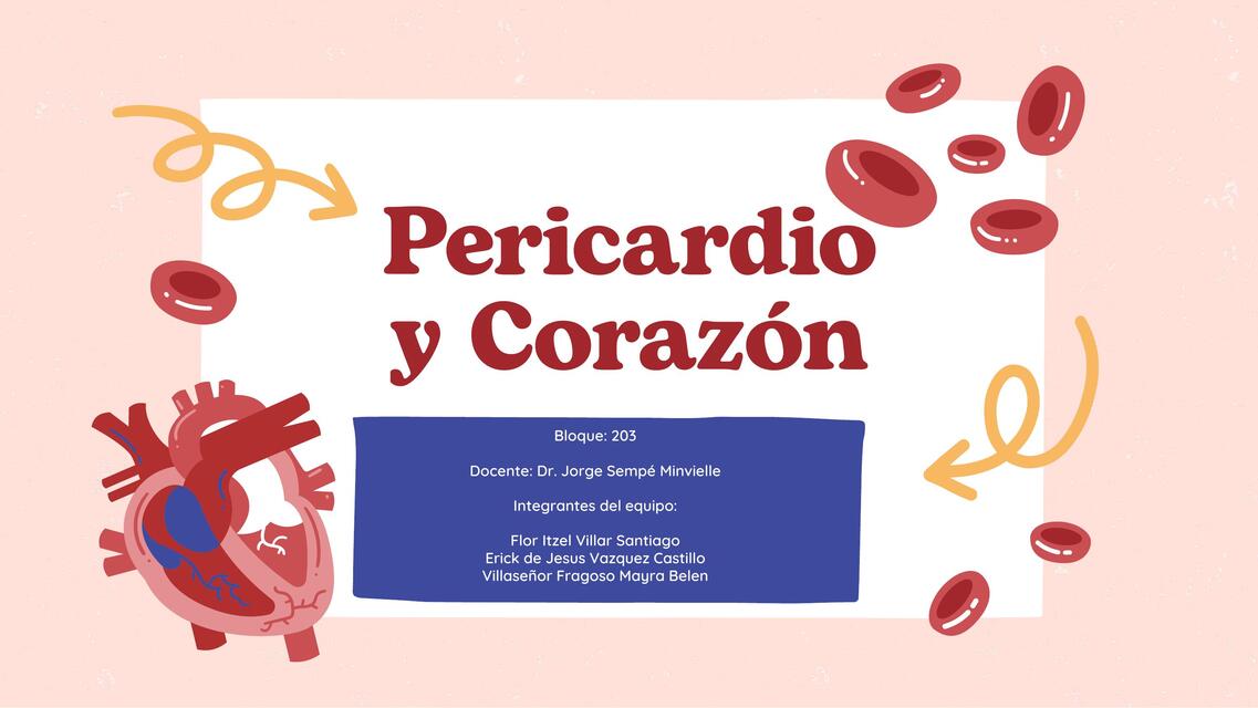 PERICARDIO Y CORAZON | Xdxd | uDocz