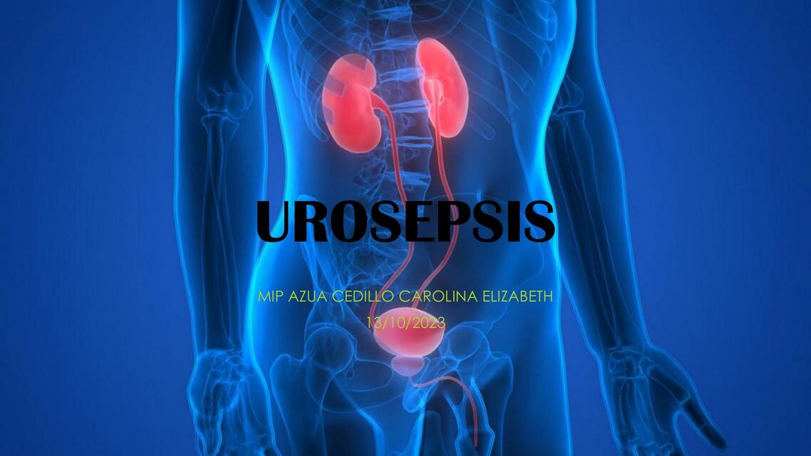 UROSEPSIS 2 | Rodiz | uDocz