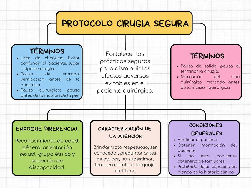 Cirugía Segura Alexandra Udocz