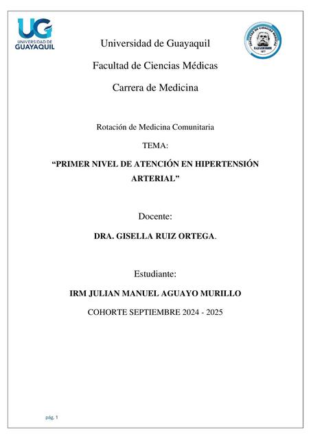 ATENCION PRIMER NIVEL DE ATENCIÓN EN HTA | Julián Aguayo | uDocz