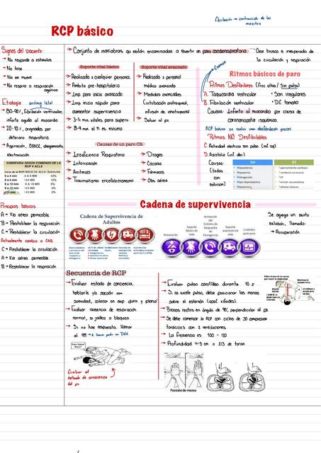 RCP básico | Sherlyn | uDocz