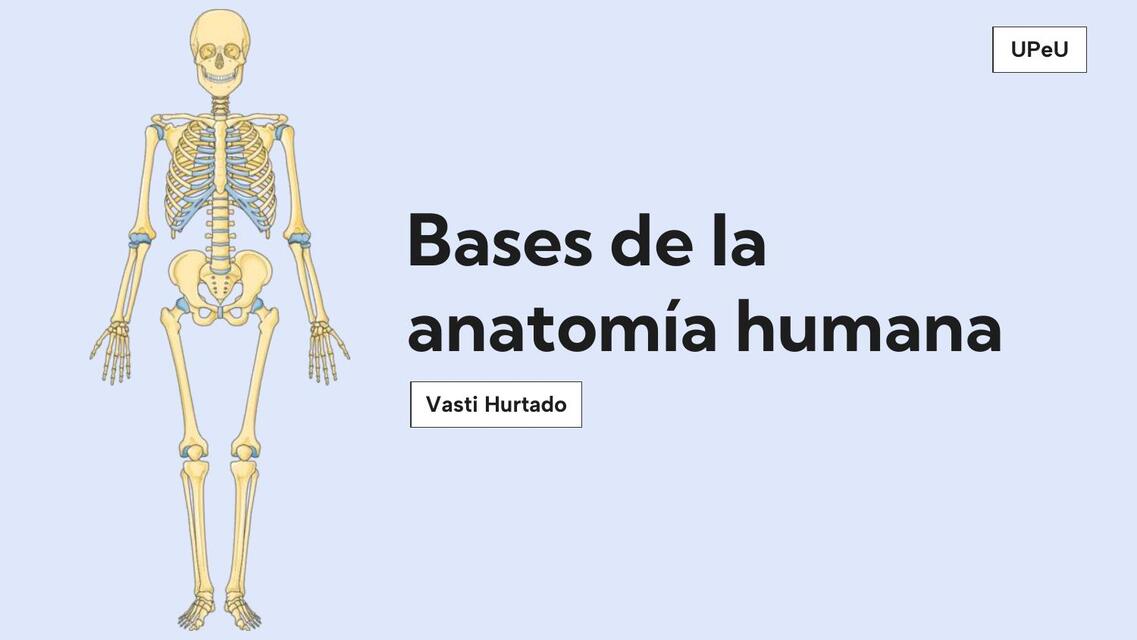 01 Bases de la anatomía humana | Alexa | uDocz