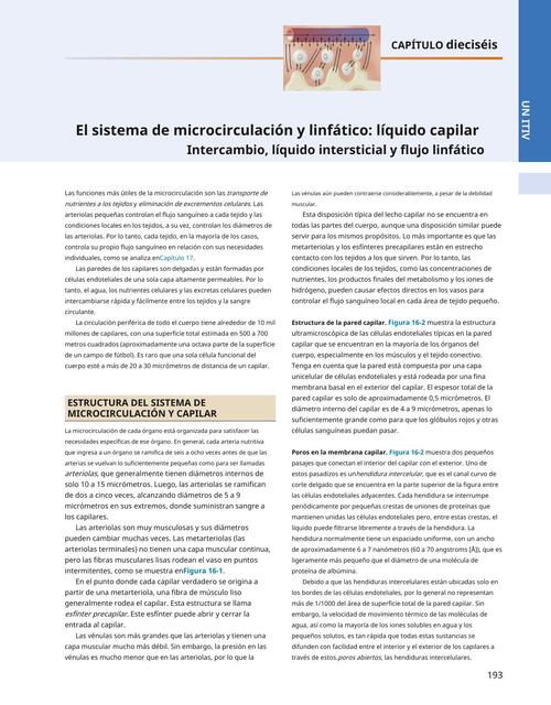 FISIO CAP 16 17 | Luis | uDocz