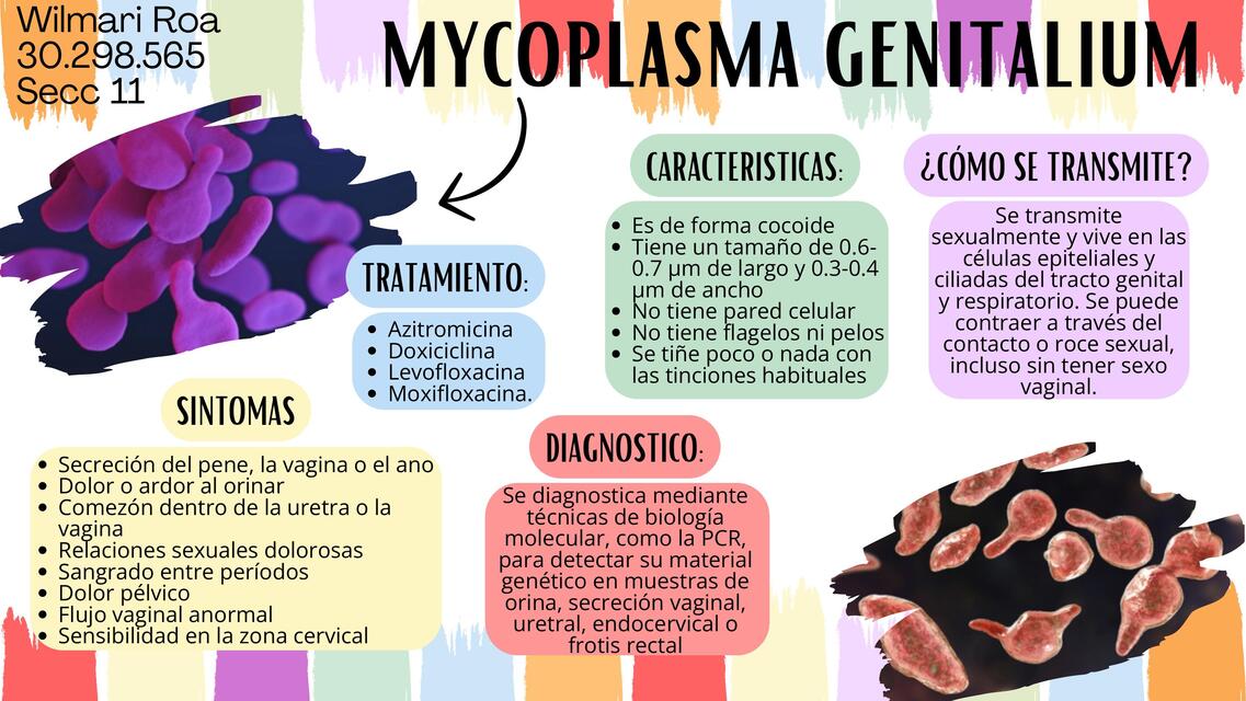 laminario wilmari roa | Génesis Guadamo | uDocz