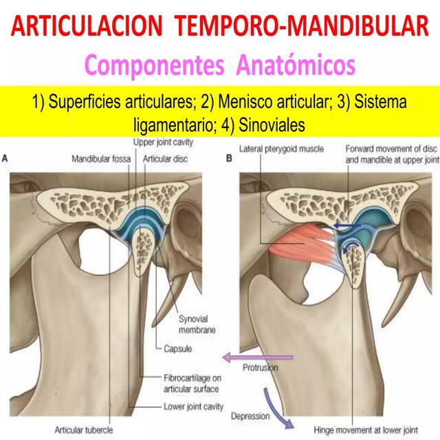 ATM | Sergio Daniel | uDocz
