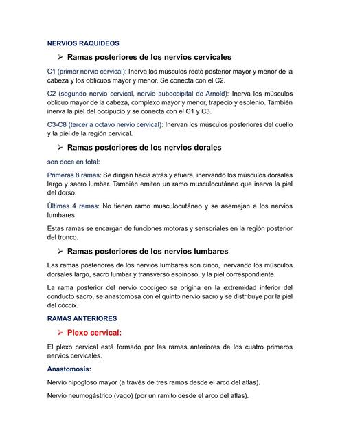 NERVIOS RAQUIDEOS | Anonimio | uDocz