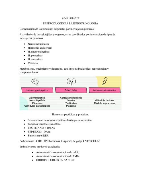 Flashcards de CAPITULO 75 y 76 DE FISIOLOGIA GUYTON | Por Lidia Amely | uDocz