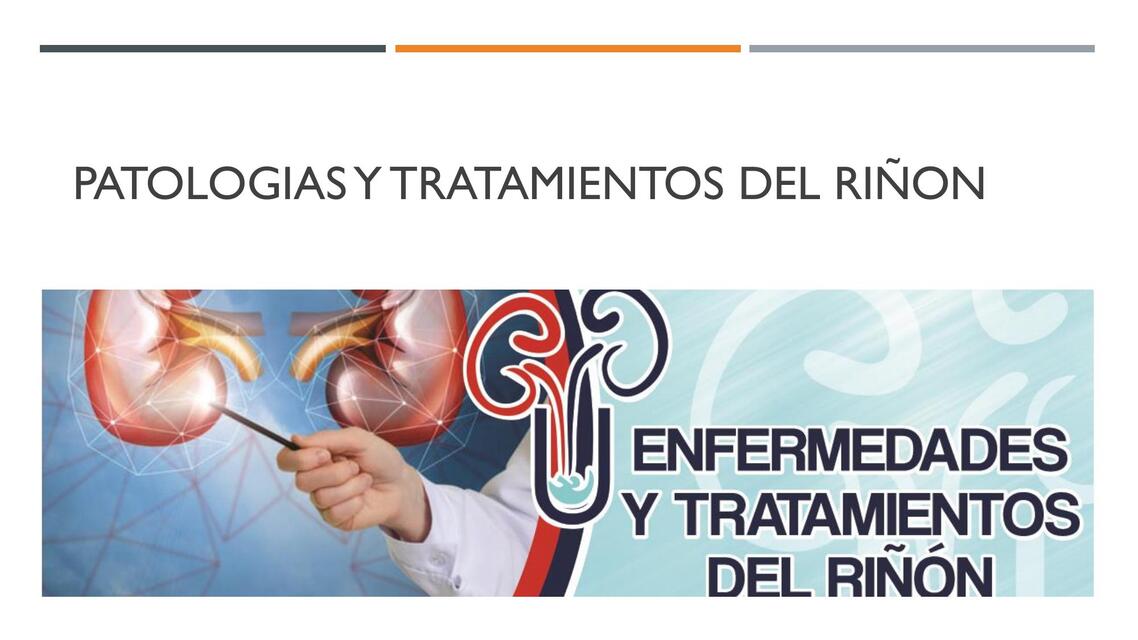 PATOLOGIAS Y TRATAMIENTOS DEL RIÑON | Sofia | uDocz