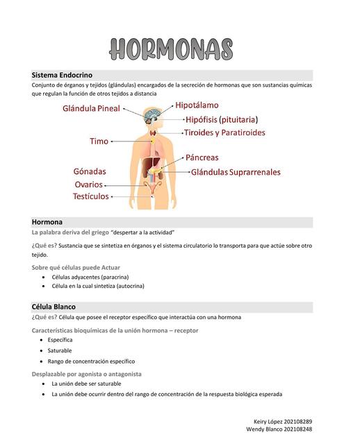 Hormonas | Alex | uDocz