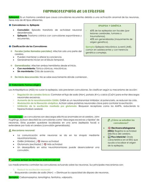 Flashcards de Farmacoterapia de la Epilepsia | Por Shecid Cruz | uDocz