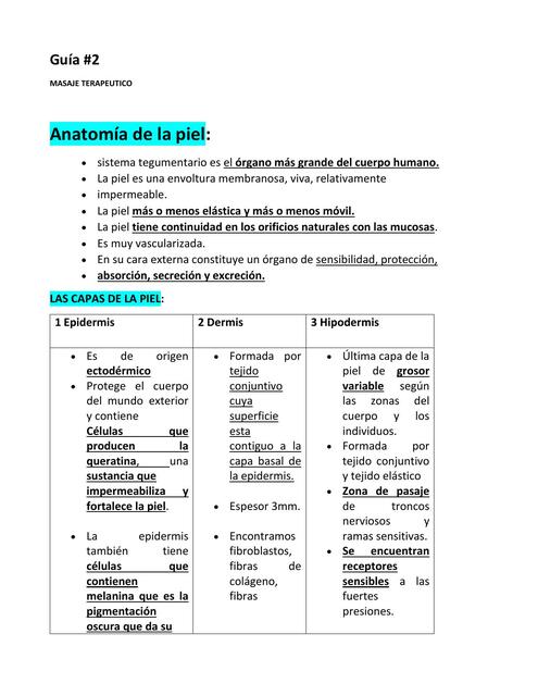Anatomía de la piel | | uDocz