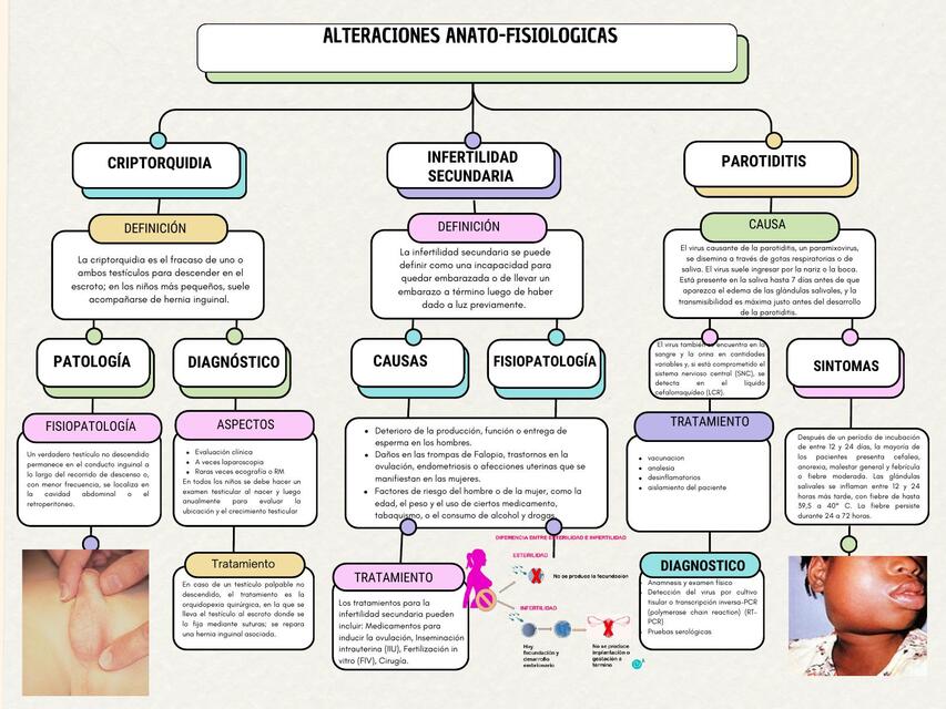 Gráfica Mapa Conceptual Simple Colorido | Karla Valeria | uDocz