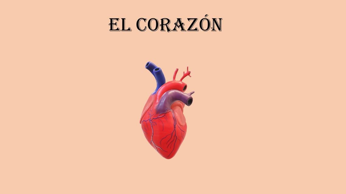 El corazón | Harry Potter | uDocz