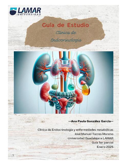 Flashcards de Endocrinología González Ana Guía 1er Parcial | Por Ana pau | uDocz
