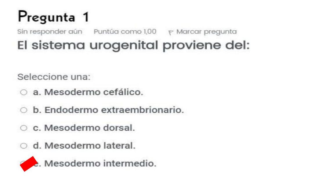 EXAMEN GINECO - URP | Brenda | uDocz