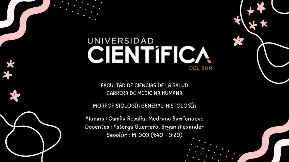 Atlas histo 1 morfo 1 final | 1 ciclo | uDocz