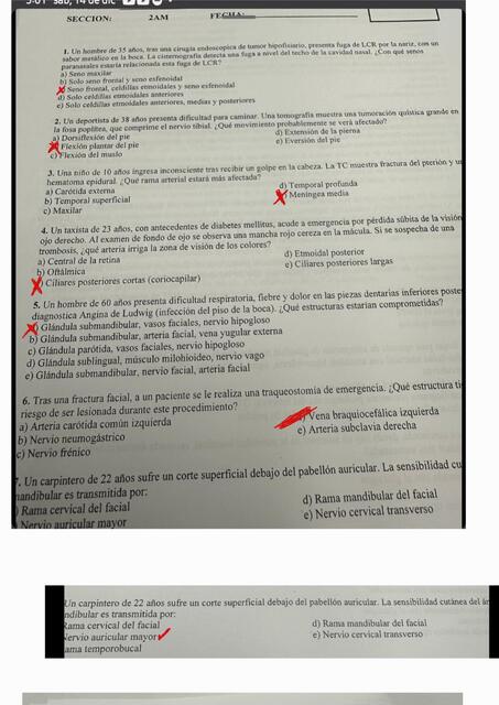 examenes finales de morfo 2 varios formatos | 1 ciclo | uDocz
