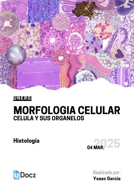 Morfología Celular | Ysaac Garcia | uDocz