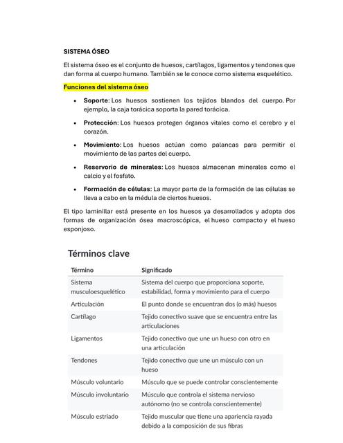 sistema oseo y muscular | Axel | uDocz