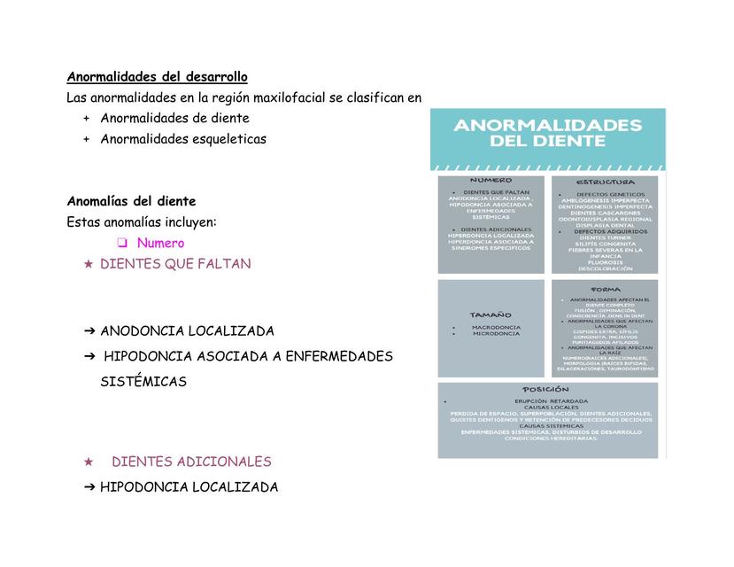 Anormalidades del desarrollo | Marjorie Marcela | uDocz