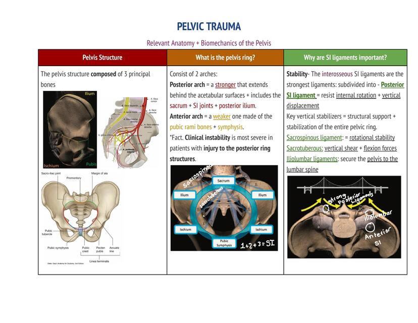 Pelvic Trauma | MARIA FERNANDA CORTEZ GARCIA | uDocz