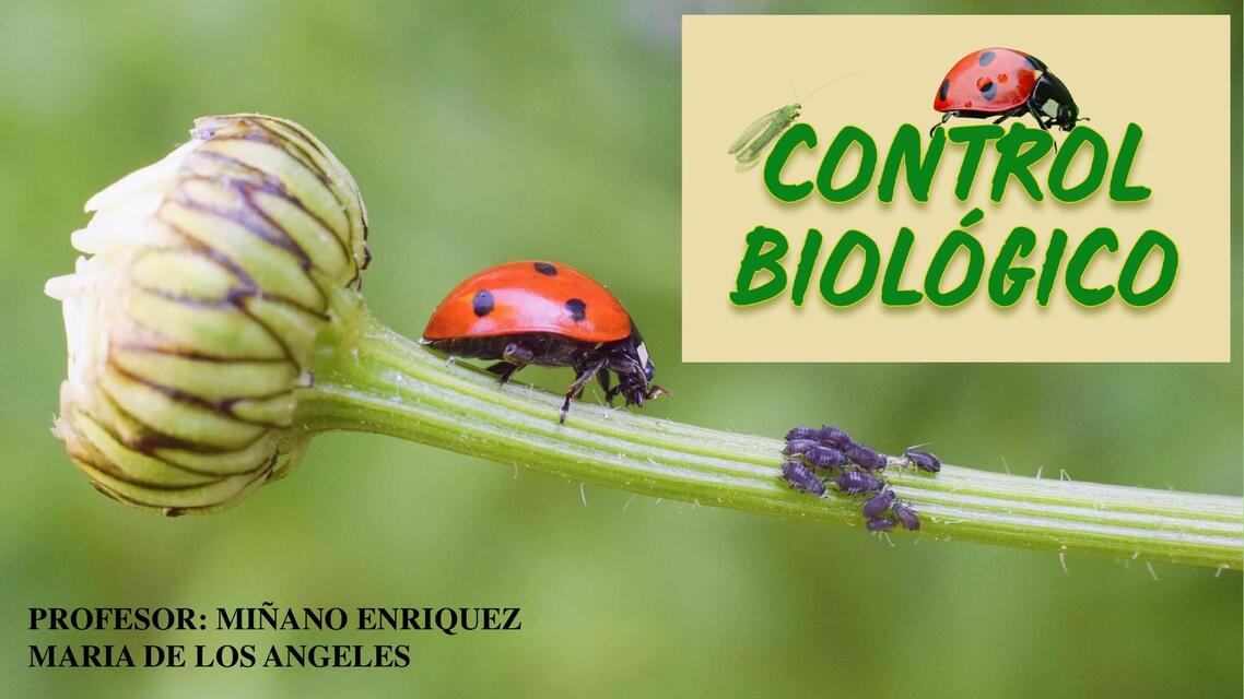 02 Control biologico ppt | Alondra | uDocz