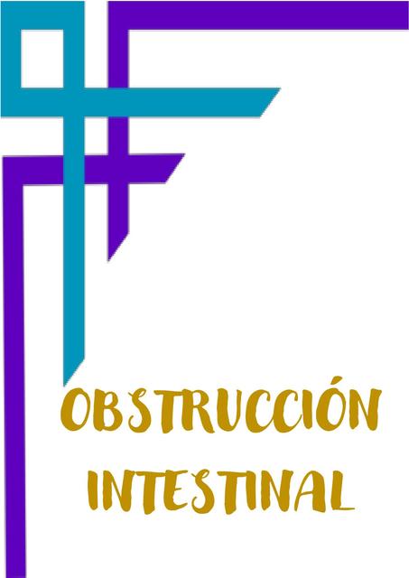 Obstruccion Intestinal | Dr. Castro | uDocz