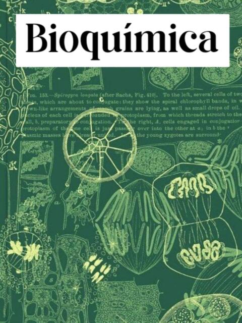 Bioquimica | ALAN DAVID | uDocz