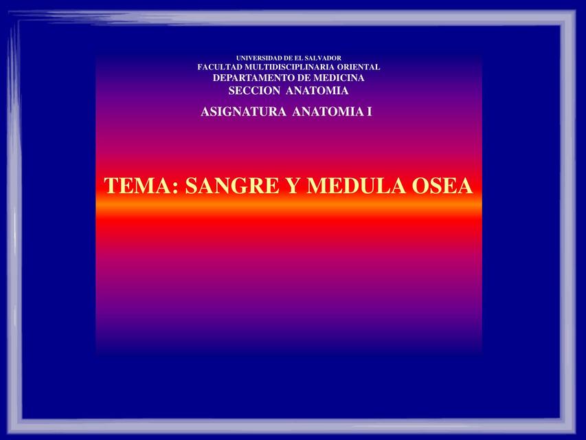 SANGRE Y M E | Gabby Floress | uDocz