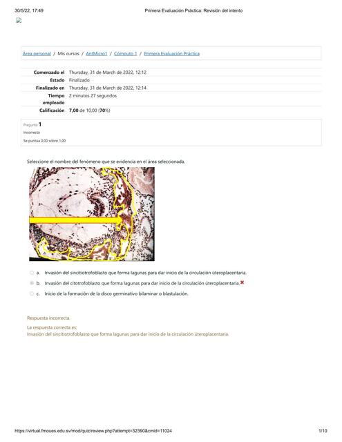 Primera Evaluación Práctica microanatomia Revision | Gabby Floress | uDocz