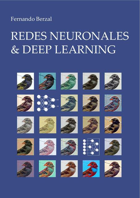 pdfcoffee com redes neuronales deep learning by fe | Carlos | uDocz