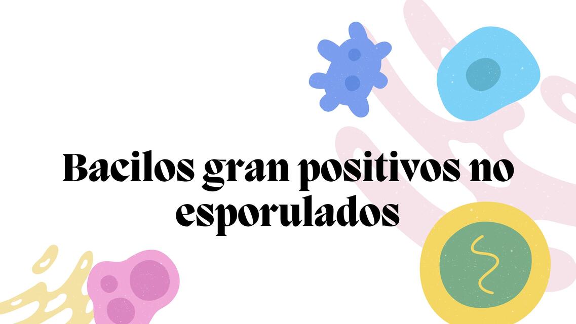 Bacilos gran positivos no esporulados | Julady | uDocz